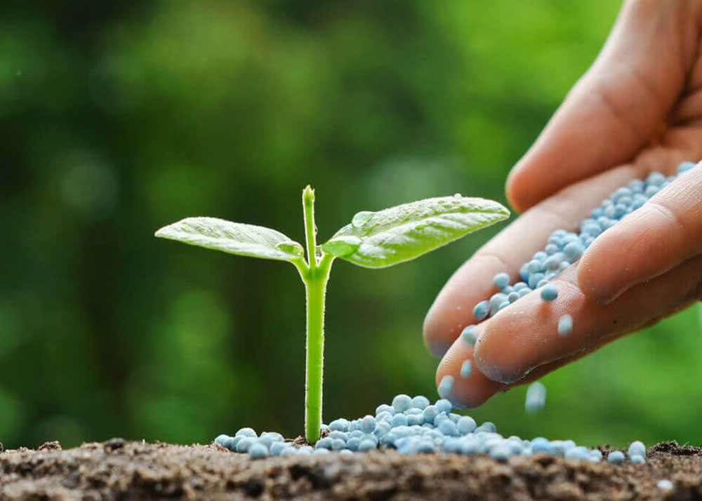 Home - Rajureshwar Industries Private limited
